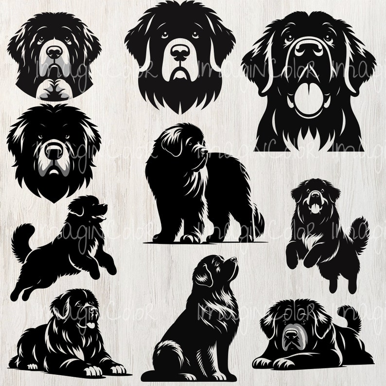Newfoundland Dog Silhouettes SVG, Dog SVG PNG Eps Dxf,puppy,dog Cricut ...