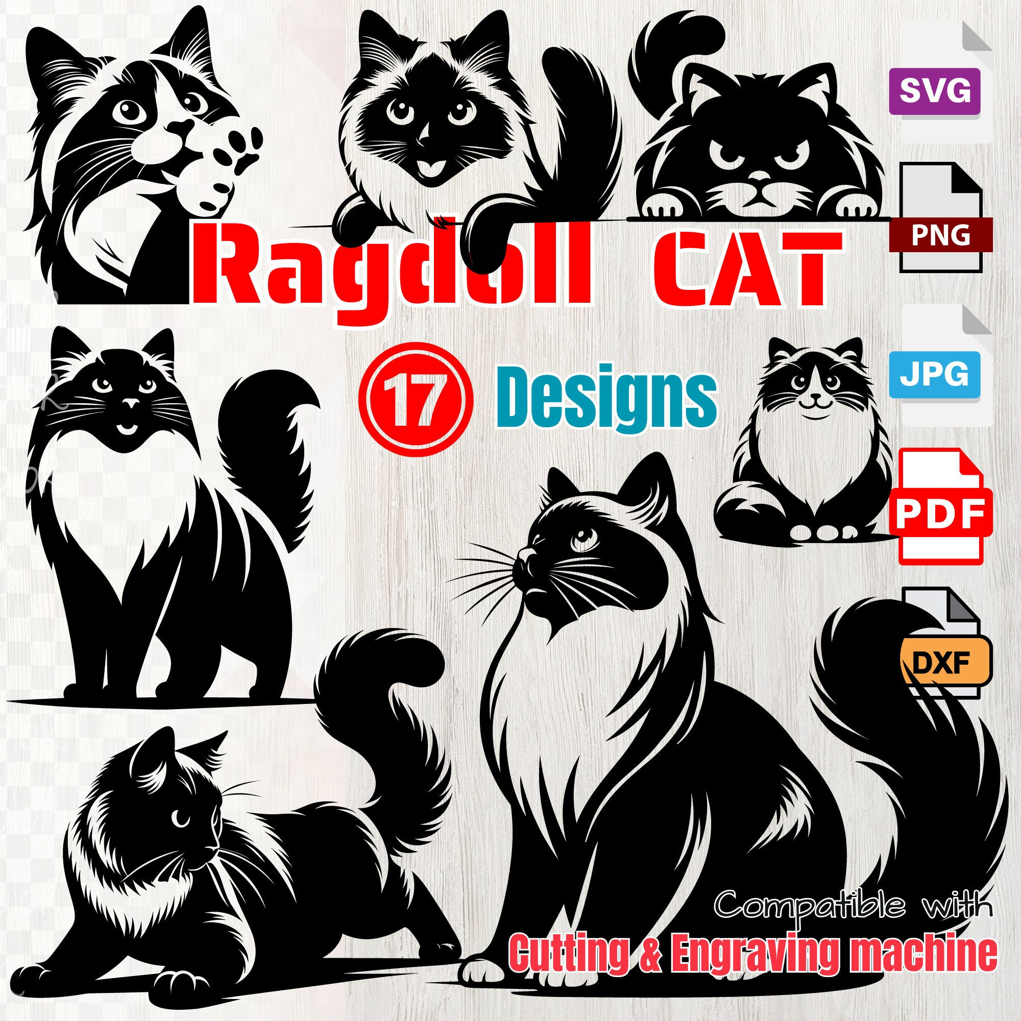 Ragdoll Cat, Ragdoll Vector Svg,ragdoll Silhouettes Cat Png,cricut ...