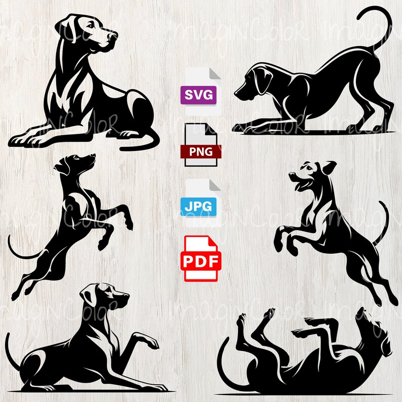 19 Rhodesian Ridgeback Dog Bundle, Silhouettes Svg Png,peeking Dog Png ...