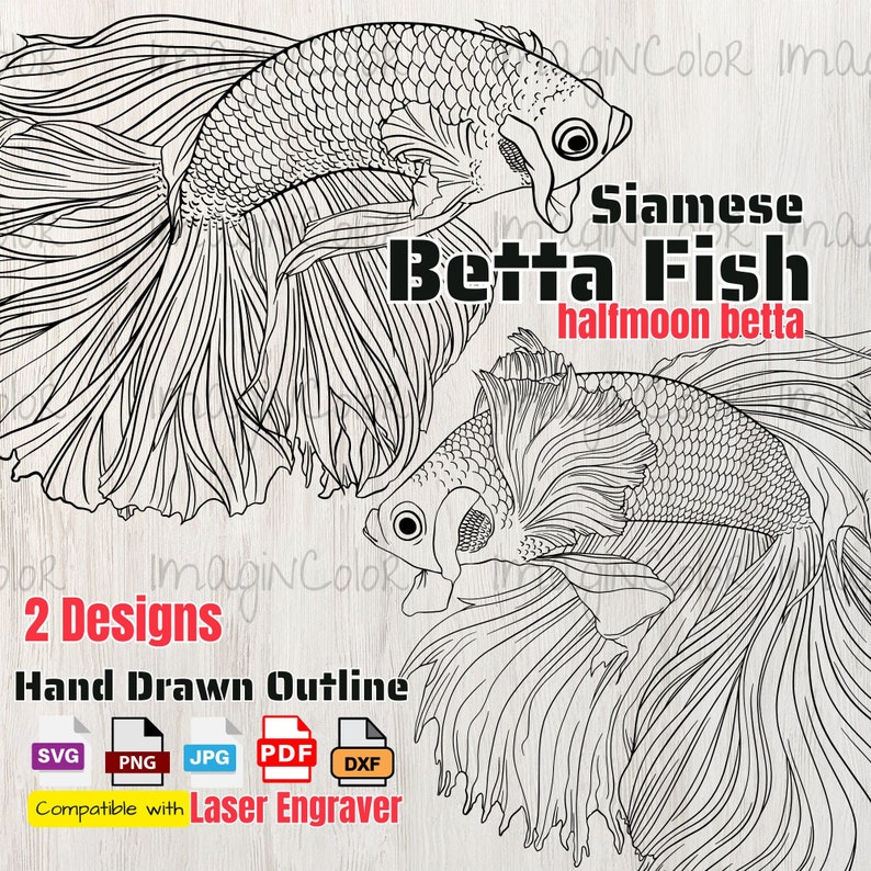 Fish SVG, Betta Fish Svg, Siamese Fighting Fis,aquarium,laser Engraver ...