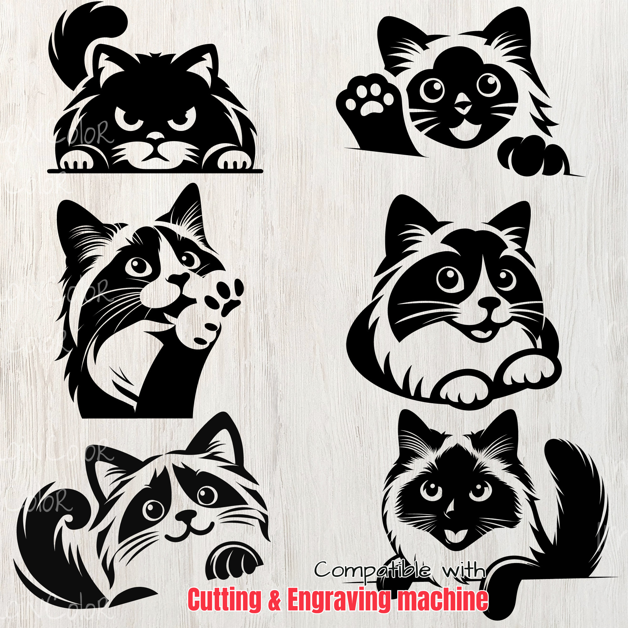 Ragdoll Cat, Ragdoll Vector Svg,ragdoll Silhouettes Cat Png,cricut ...