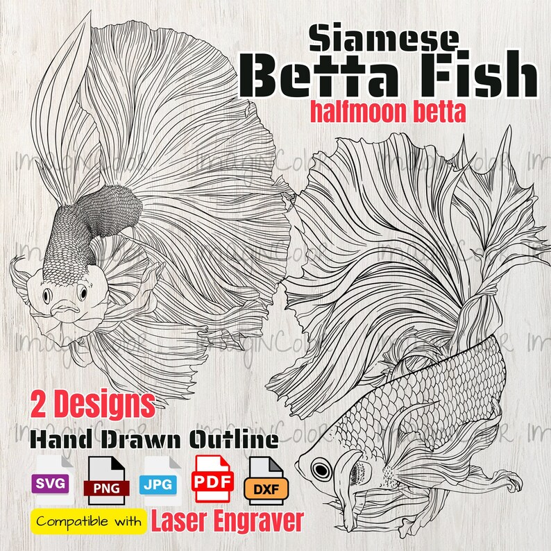 Fish SVG, Betta Fish Svg, Siamese Fighting Fis,aquarium,laser Engraver ...