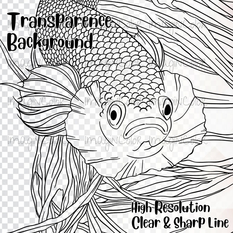 Fish SVG, Betta Fish Svg, Siamese Fighting Fis,aquarium,laser Engraver ...