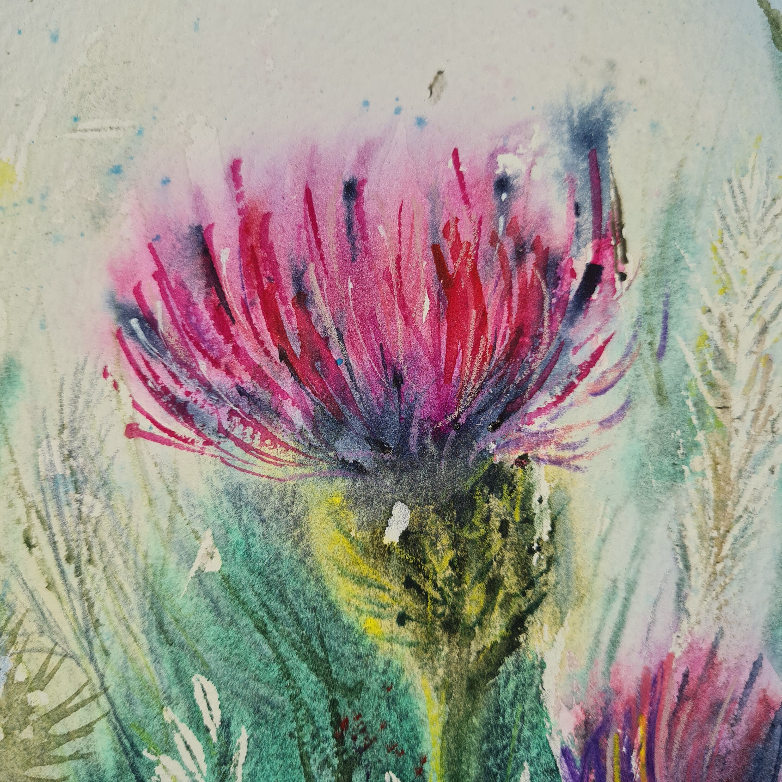 Thistle Fantasies Watercolour Painting Original - Etsy