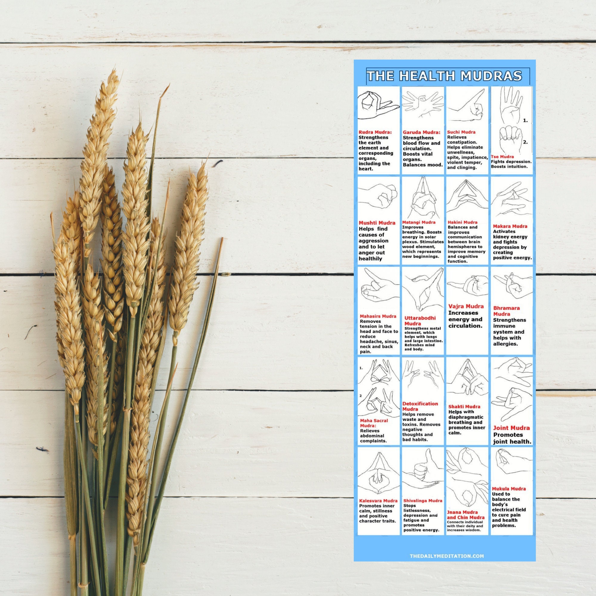 Yoga Mudras Posters,hands Chart Artwork,mudras Collection With Sanskrit ...