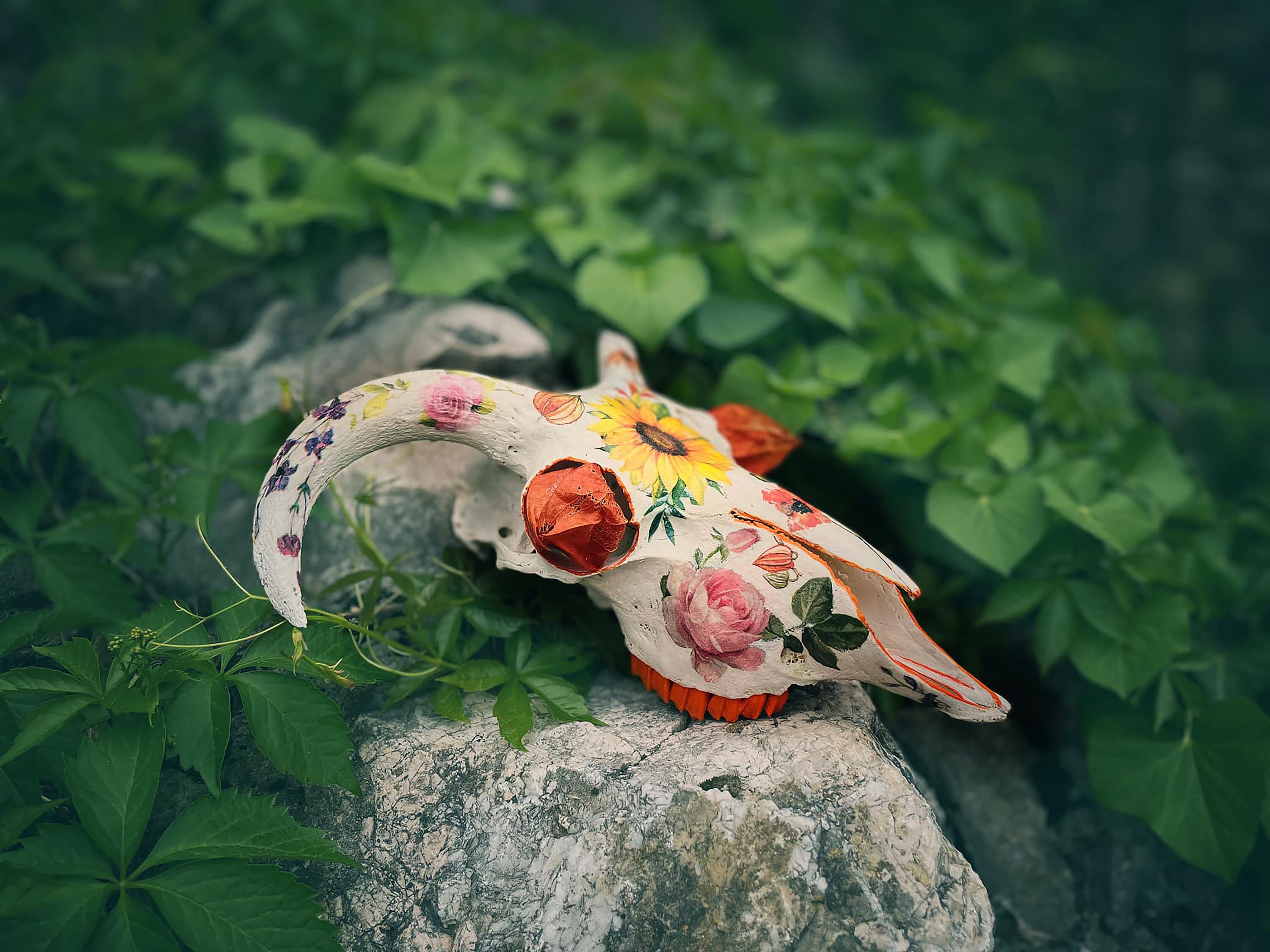 Real Ram Skull With Physalis and Flowers - Etsy