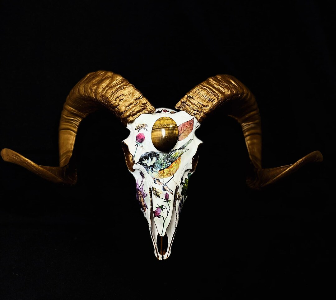 Real Ram Skull With Tiger Eye Stone. - Etsy