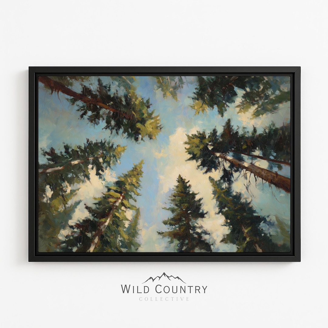 Framed Forest Canvas Print: Tall Pine Tree Nature Wall Decor for ...