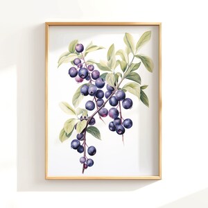 Watercolor Huckleberry Branch Poster Print, Huckleberry Print, Montana ...
