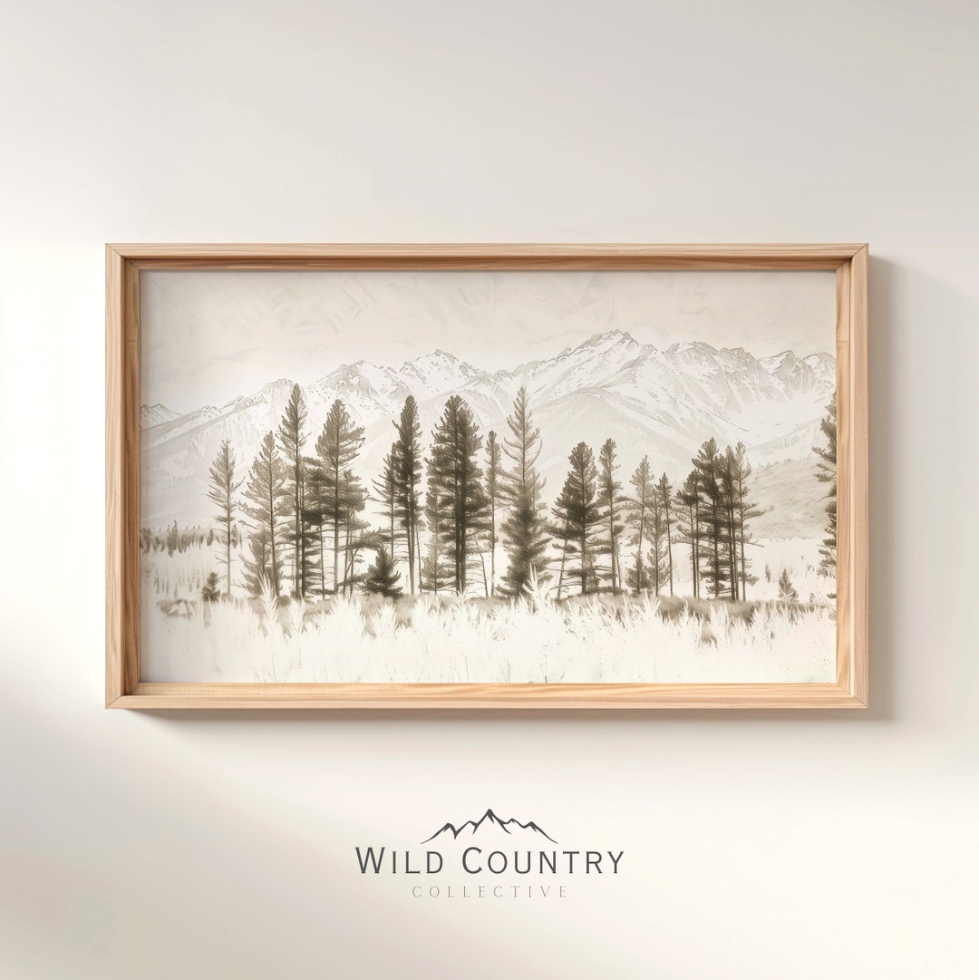 Printable Vintage Pine Tree Drawing, Black & White Forest Drawing ...