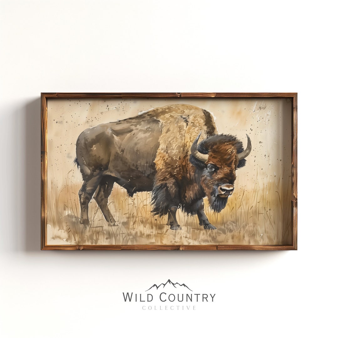 Watercolor Bison Poster Print, American Buffalo Art, Rustic Bison Wall ...