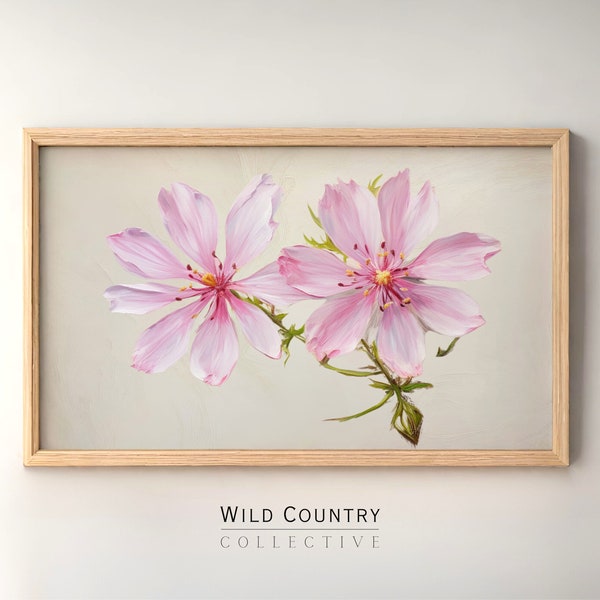 Bitterroot Flower - Etsy