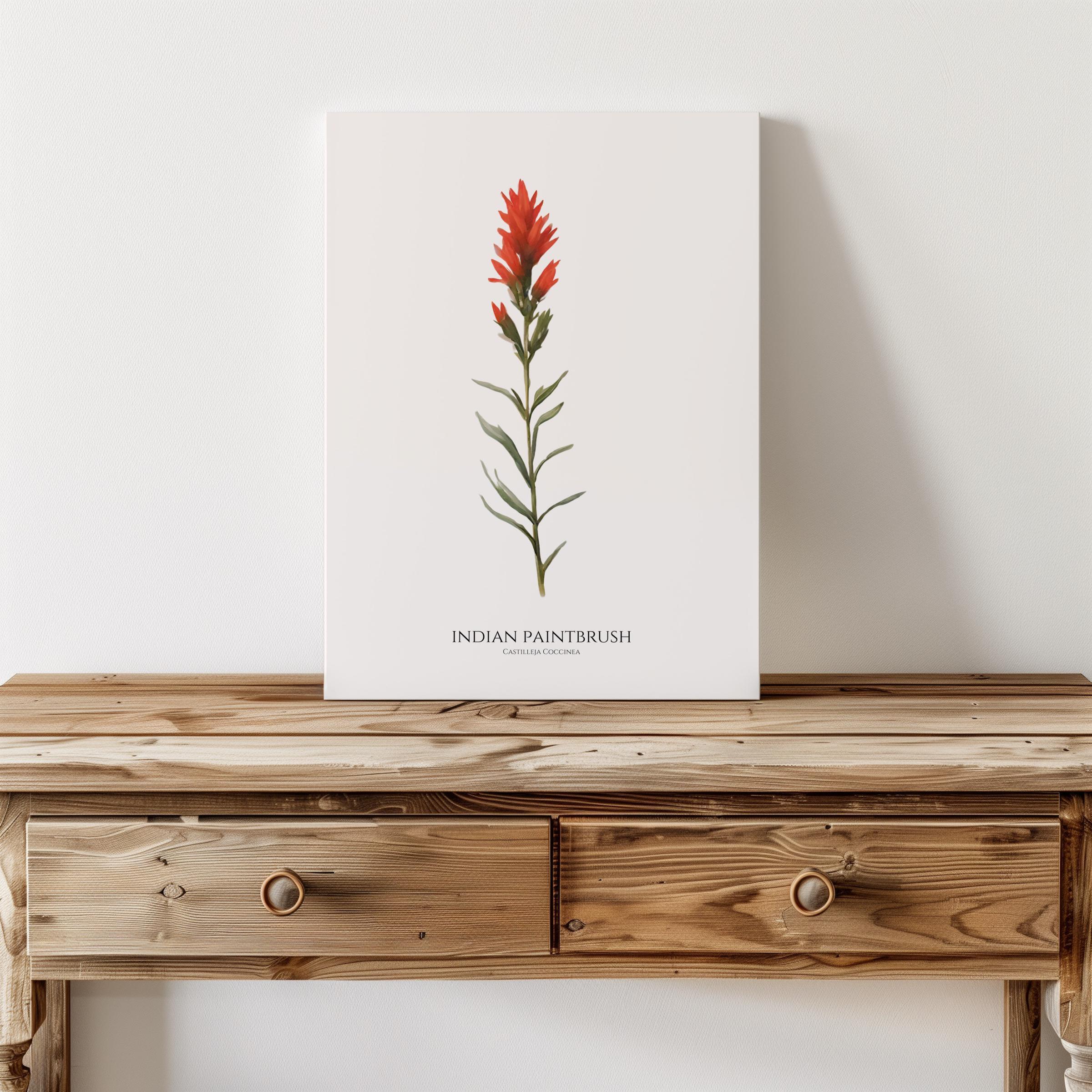 Indian Paintbrush Wildflower Canvas, Wildflower Art Canvas, Floral ...