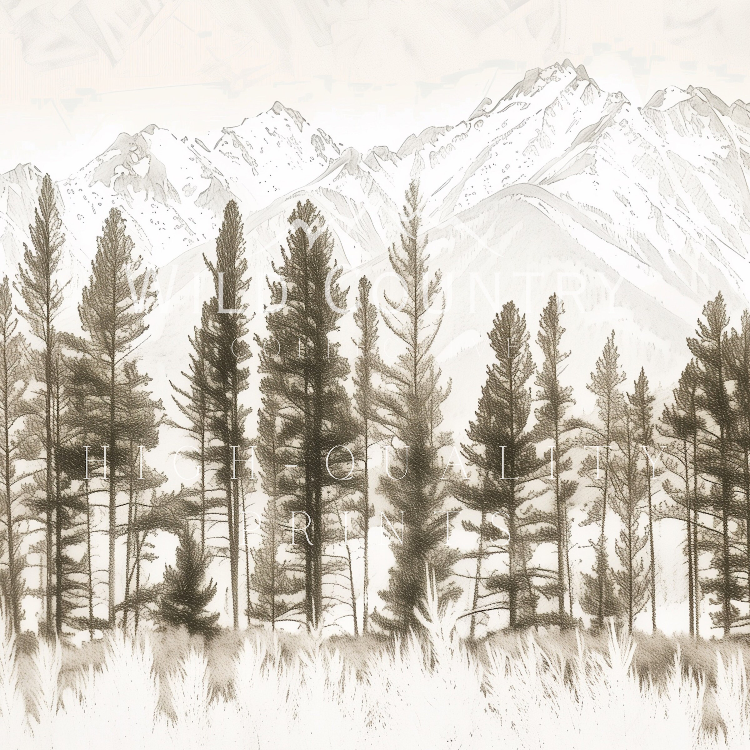 Printable Vintage Pine Tree Drawing, Black & White Forest Drawing ...