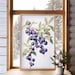 Watercolor Huckleberry Branch Poster Print, Huckleberry Print, Montana ...