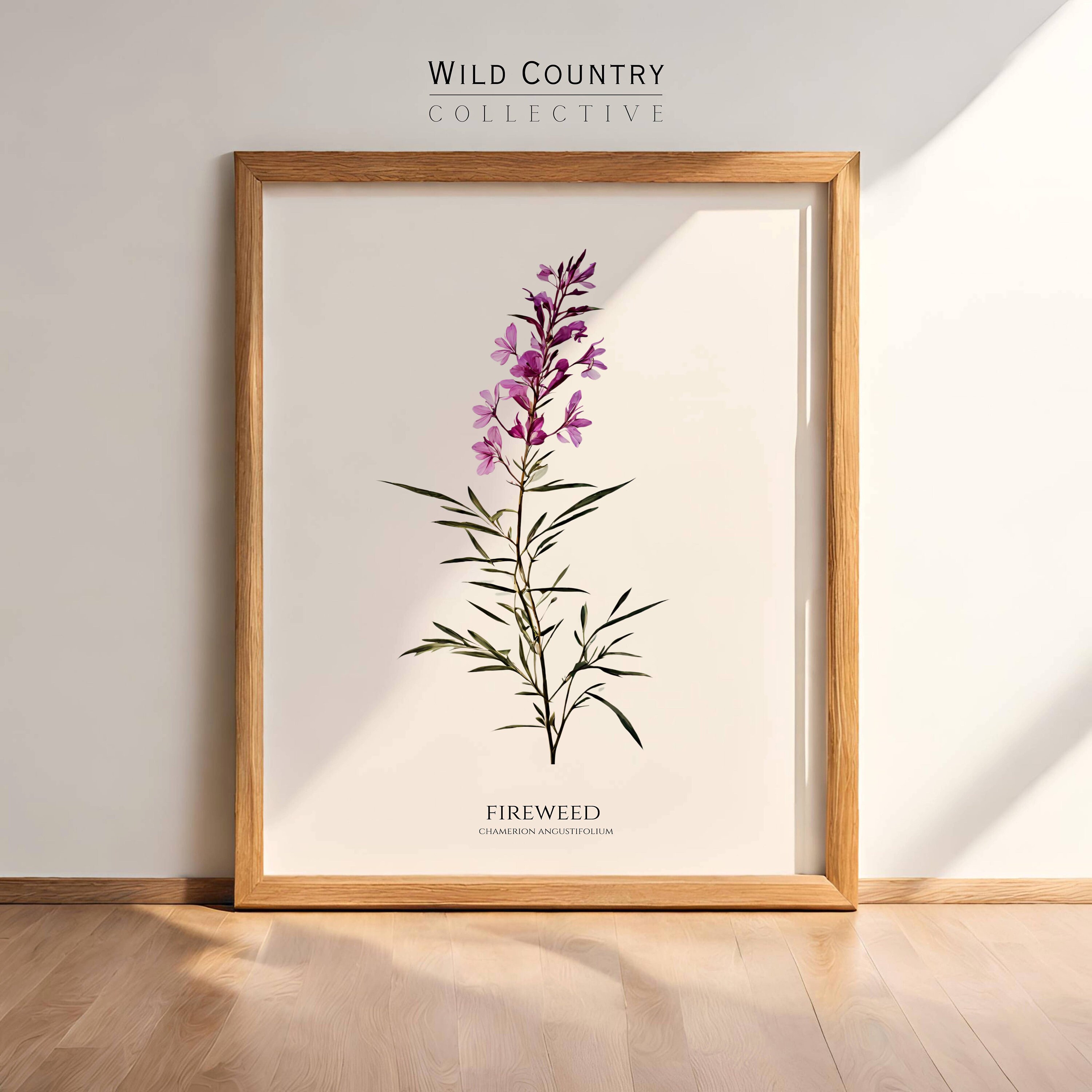 Printable Fireweed Wildflower Wall Art, Country Farmhouse Decor ...
