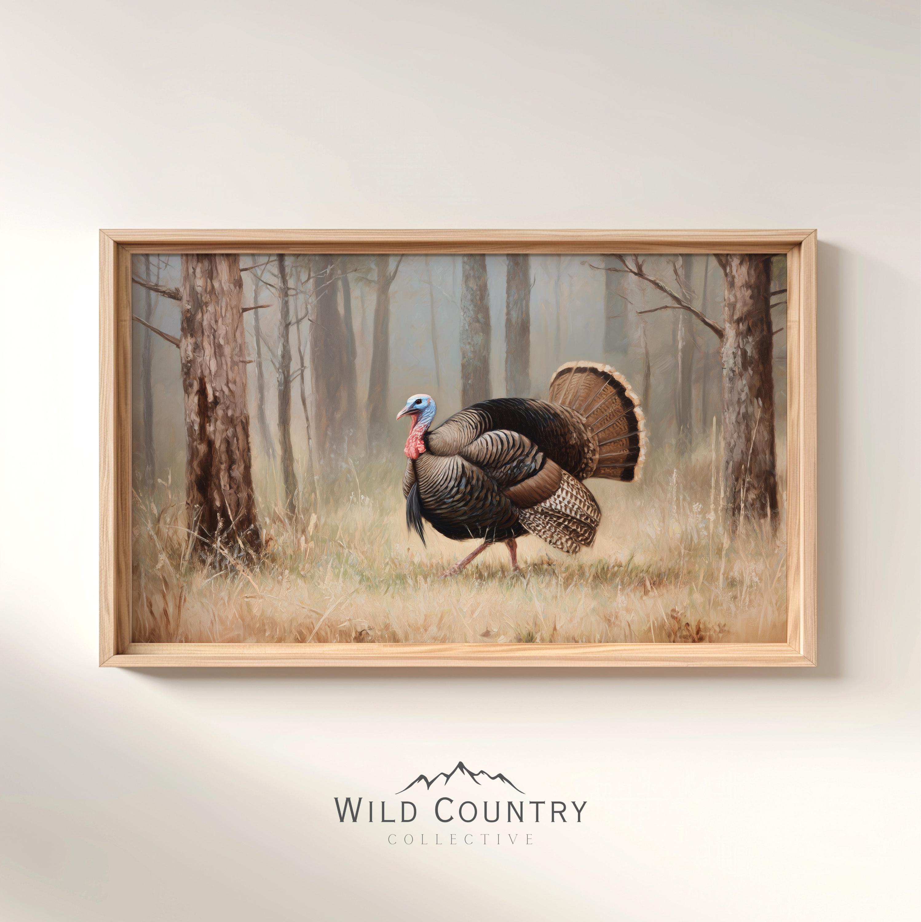 Wild Turkey Wall Art Rustic Wildlife Painting Vintage Game Bird Art ...