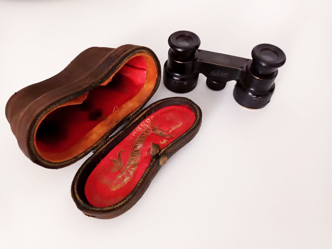 Antique Opera Binoculars, Opera Glasses With Case G.rodenstock München ...