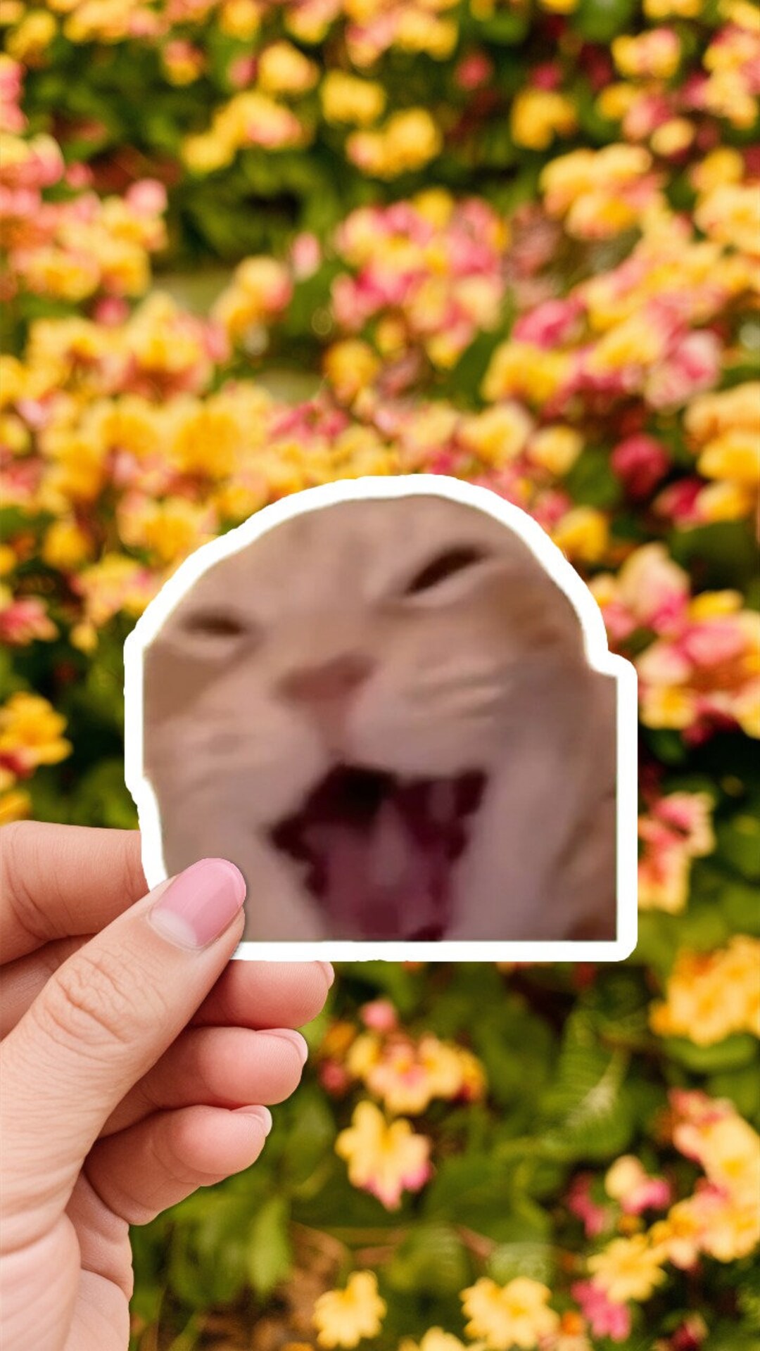 Laughing Cat Meme Sticker Laptop Stickers Aesthetic Stickers Computer ...