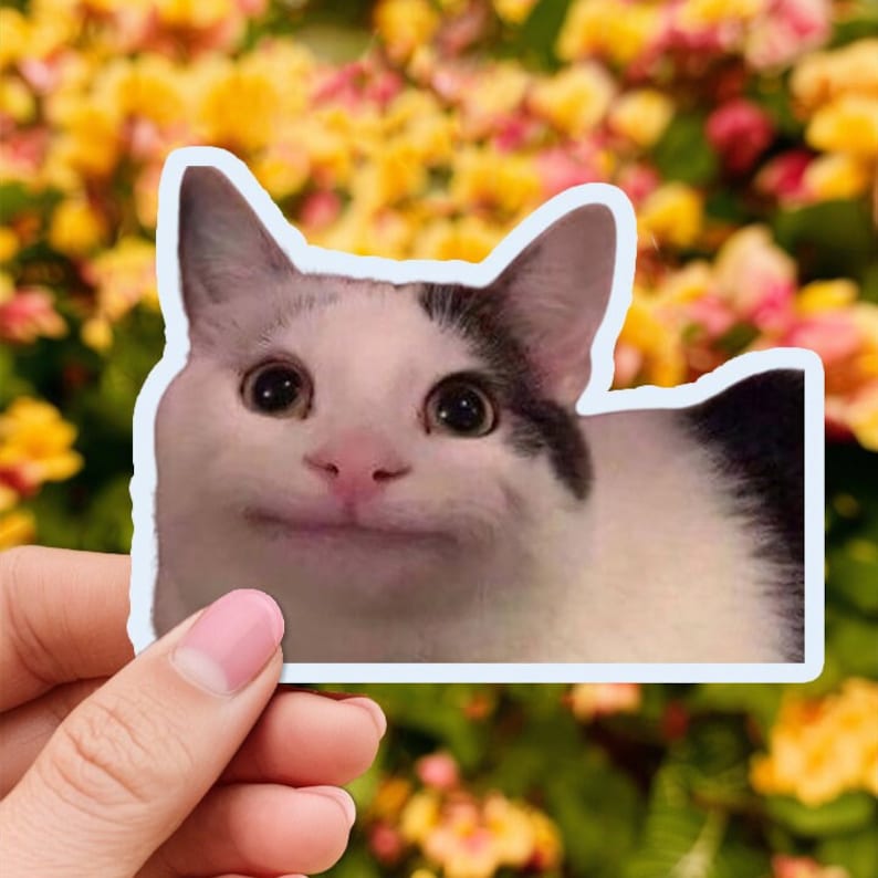 Buy Polite Cat Meme Sticker Cat Face Meme Laptop Stickers Aesthetic Stickers Computer Stickers ...