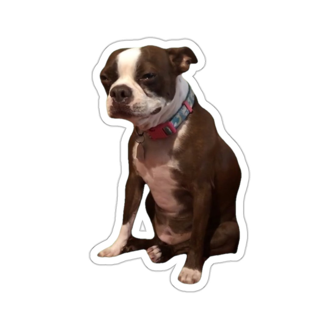 Crying Dog Meme Sticker Sad Dog Meme Sticker Laptop Stickers Aesthetic ...