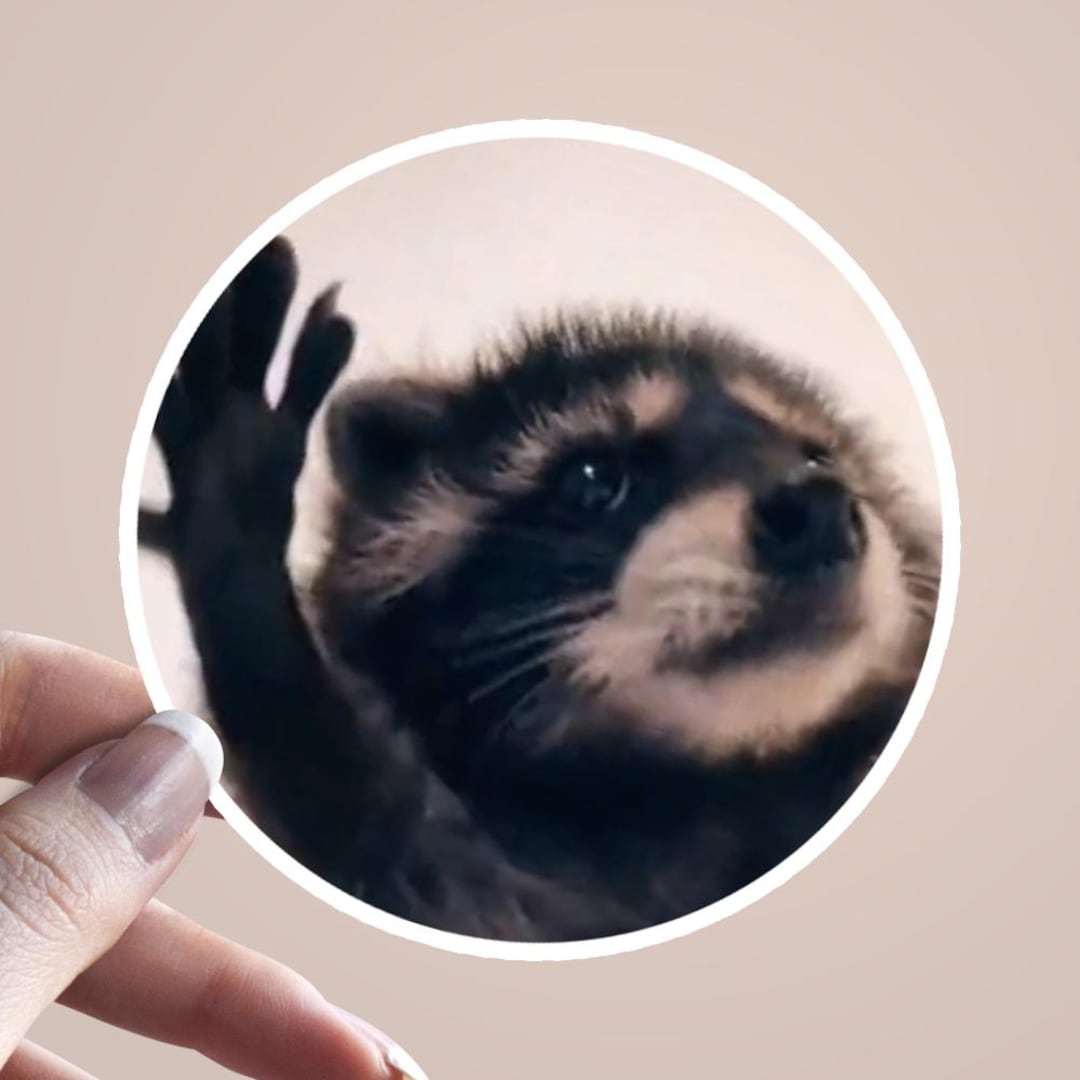 Pedro Racoon Meme Sticker Racoon Dancing Meme Sticker Laptop Stickers ...