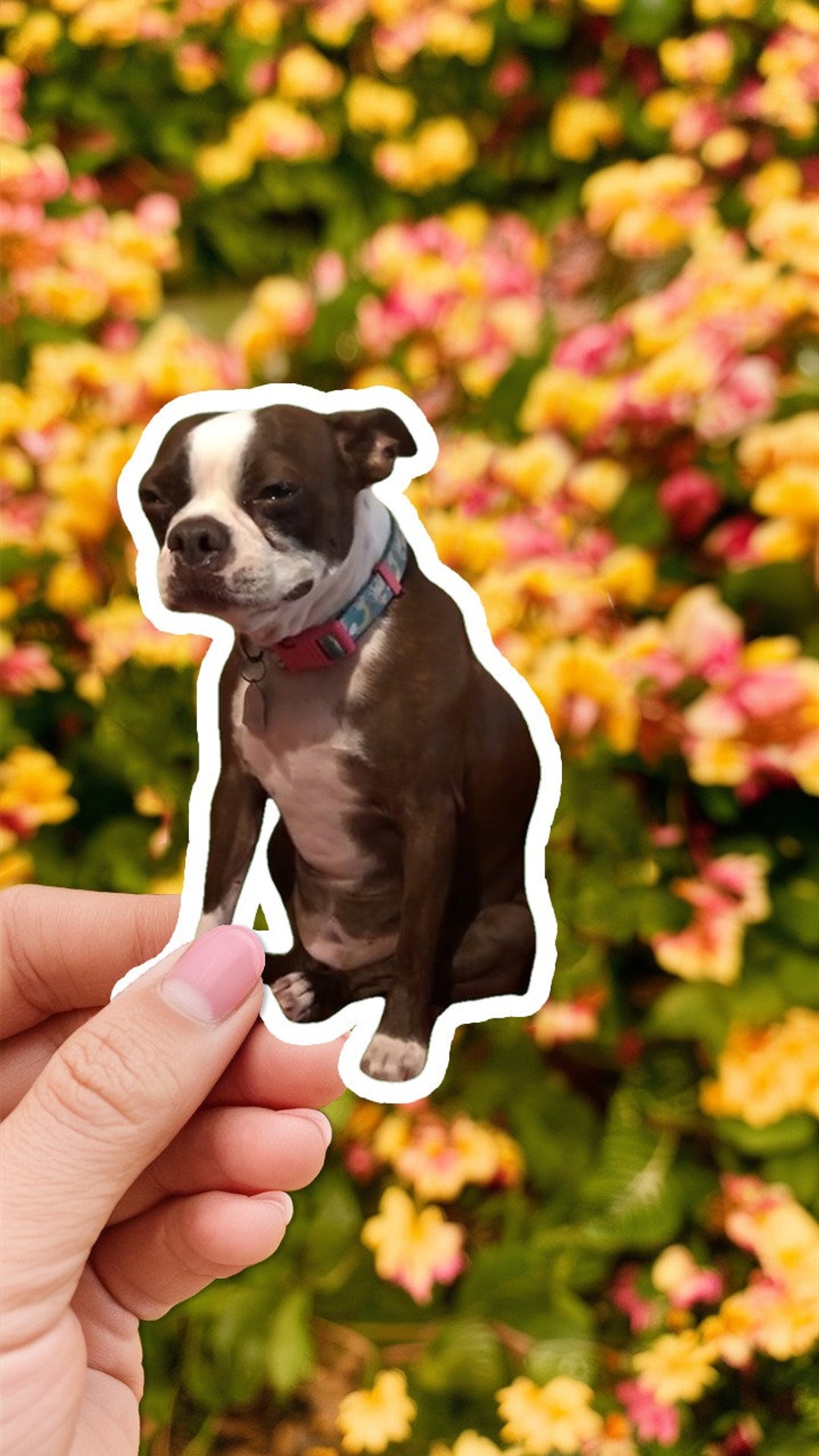 Crying Dog Meme Sticker Sad Dog Meme Sticker Laptop Stickers Aesthetic ...