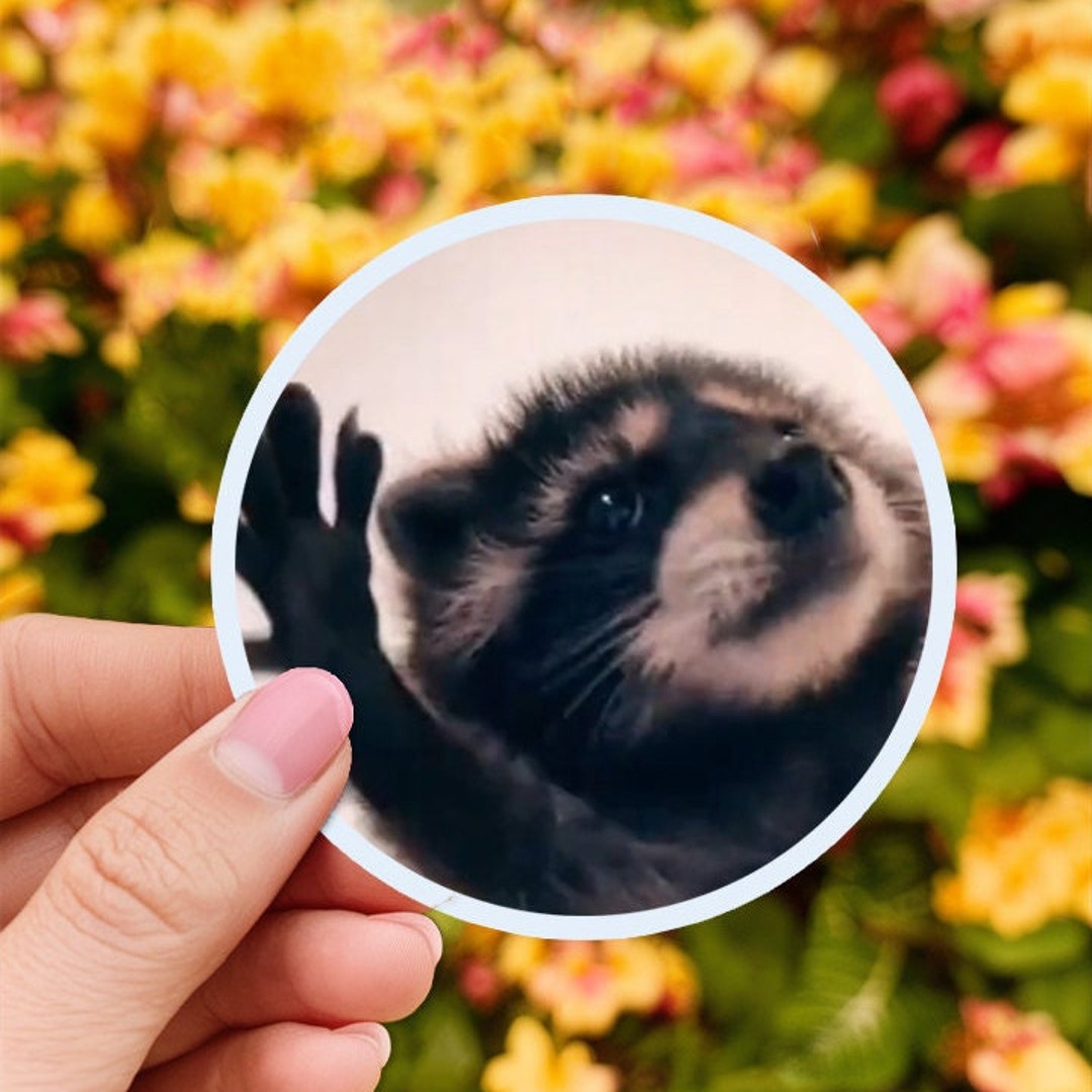 Pedro Racoon Meme Sticker Racoon Dancing Meme Sticker Laptop Stickers ...
