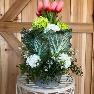 Cabbage & Tulips, Spring Floral Design - Etsy