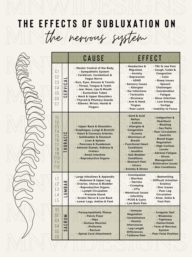 Effects of Subluxation - Nerve Chart - Nervous System Educational ...