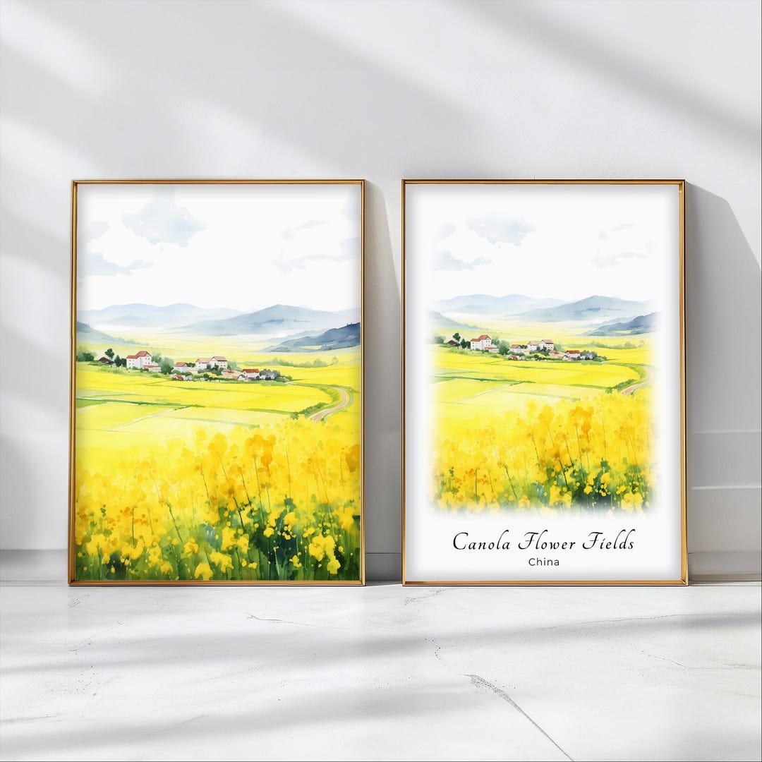 Canola Flower Fields Watercolor Poster Travel Art Print China Landscape ...