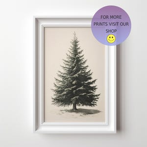Vintage Fir Print Printable Christmas Tree Fir Botanical Sketch Vintage ...