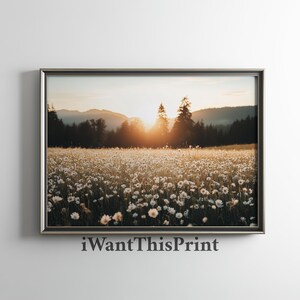 Golden Sunset Over Daisy Meadow, Serene Wildflower Landscape Art ...