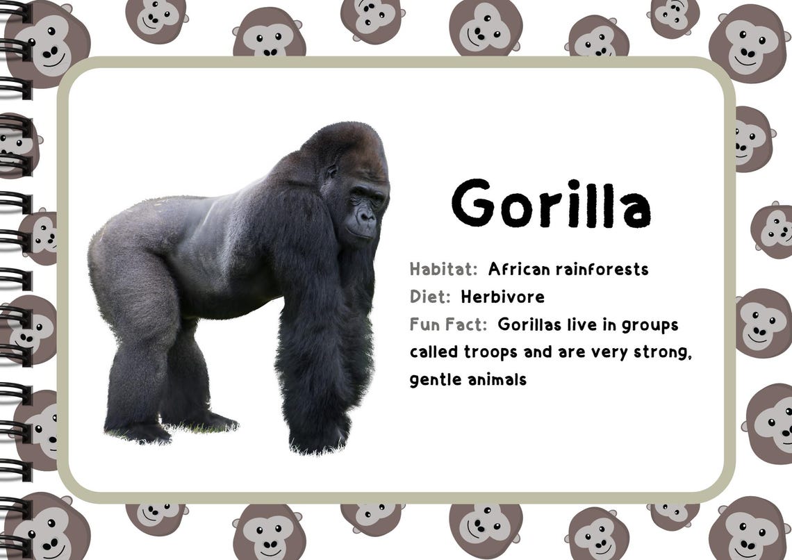 Wildlife Knowledge for Kids, Animals Name, Habitat, Diet, and Fun Facts ...