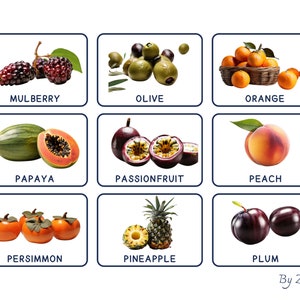 45 Fruits Cards for Kids, Fruit Cards, Fruit Lashcards, Flashcard ...