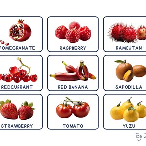 45 Fruits Cards for Kids, Fruit Cards, Fruit Lashcards, Flashcard ...