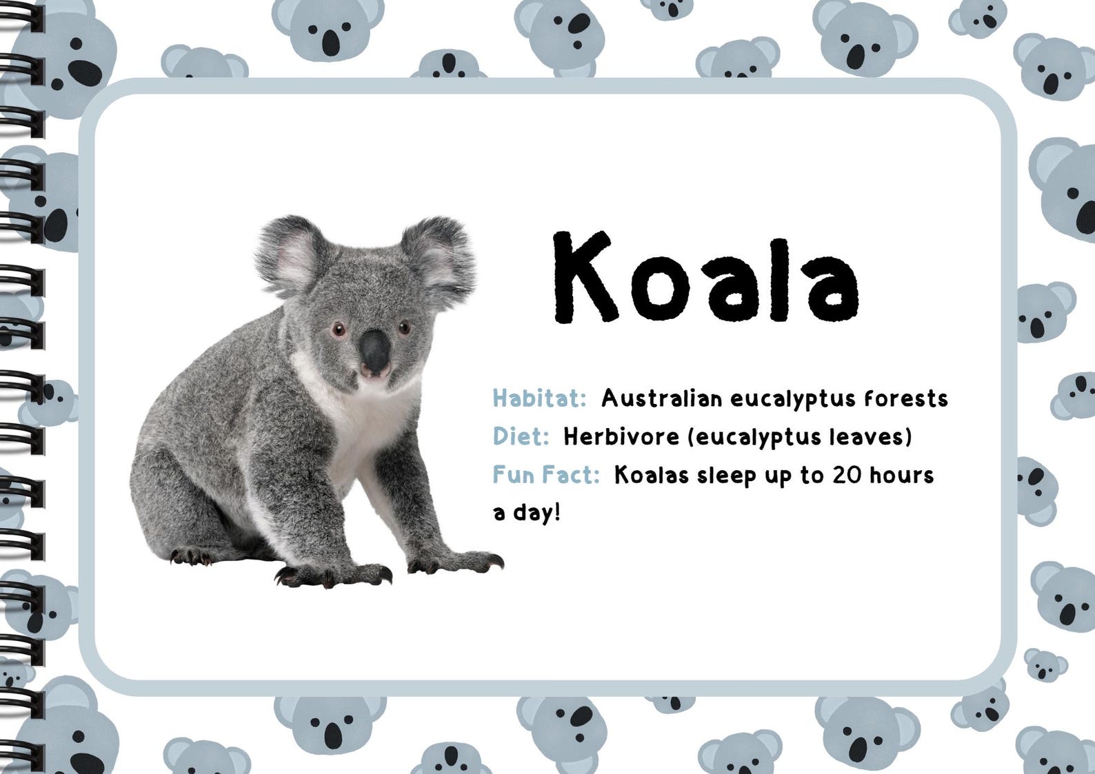 Wildlife Knowledge for Kids, Animals Name, Habitat, Diet, and Fun Facts ...