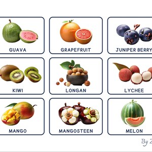 45 Fruits Cards for Kids, Fruit Cards, Fruit Lashcards, Flashcard ...