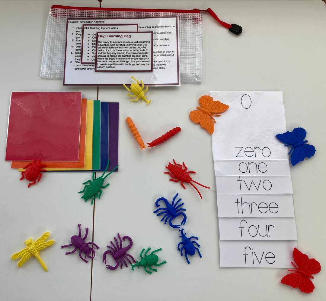 Bug Learning Bag. Busy Bag. Bugs. Fine Motor Skills. Toddler Play ...