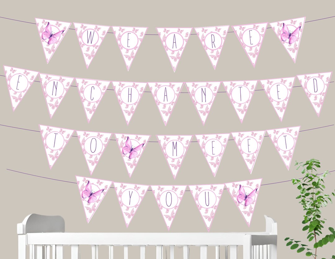 We Are Enchanted to Meet You Baby Shower Banner, Taylor Swift Themed ...