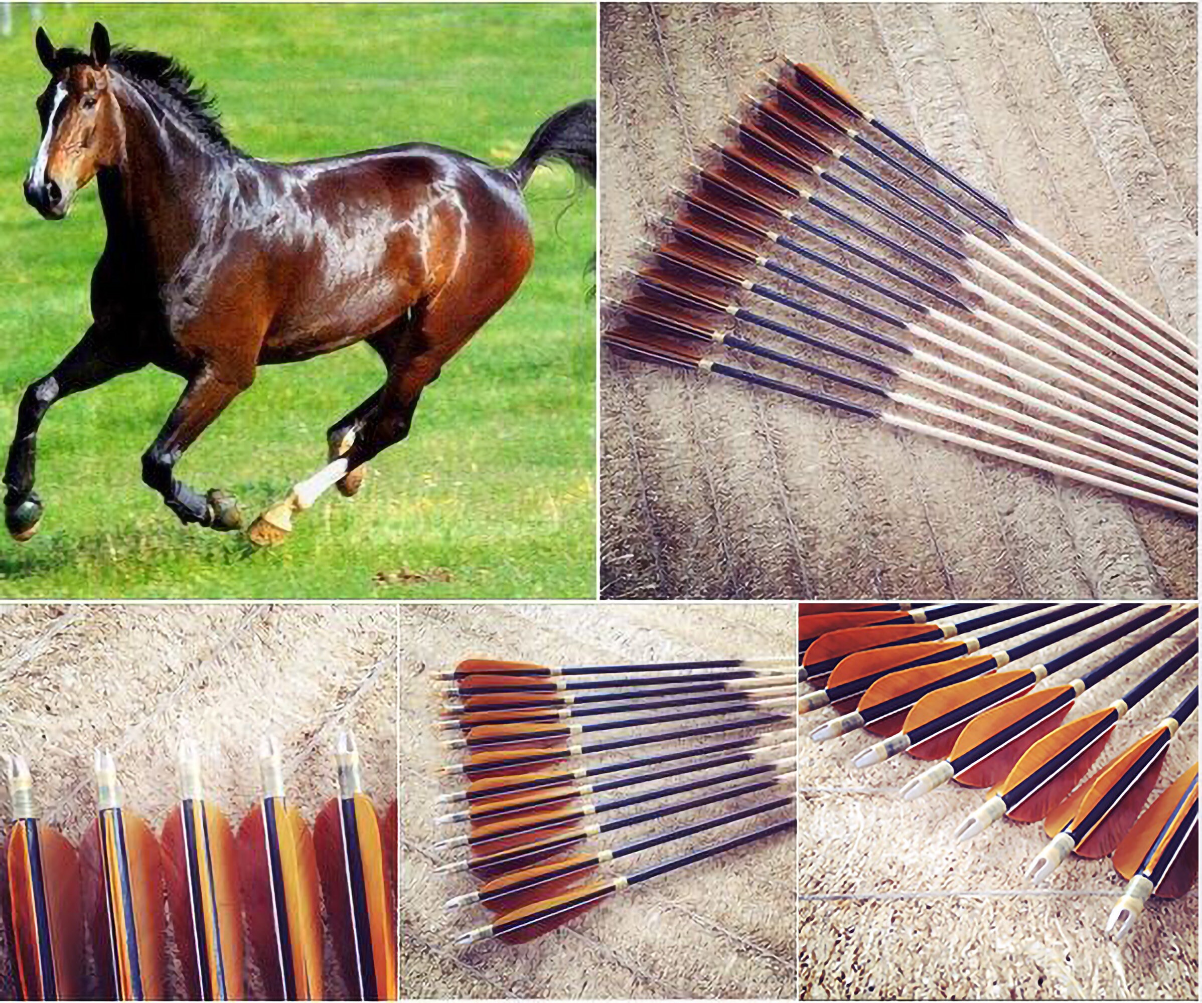 Wooden Archery Arrow, Recurve Bow, Longbow, Hunting Gift, Self Nock ...