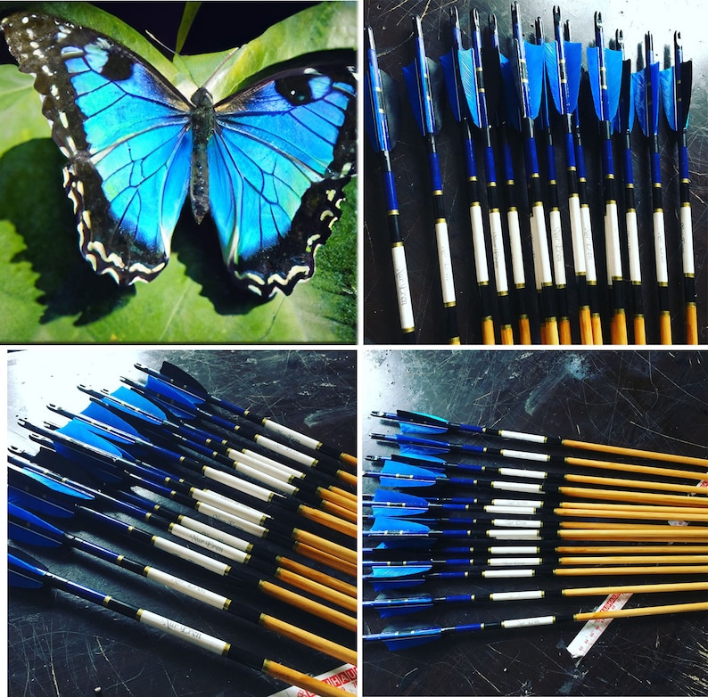 Handcrafted Wooden Archery Arrow: Blue Black Turkey Feathers - Etsy