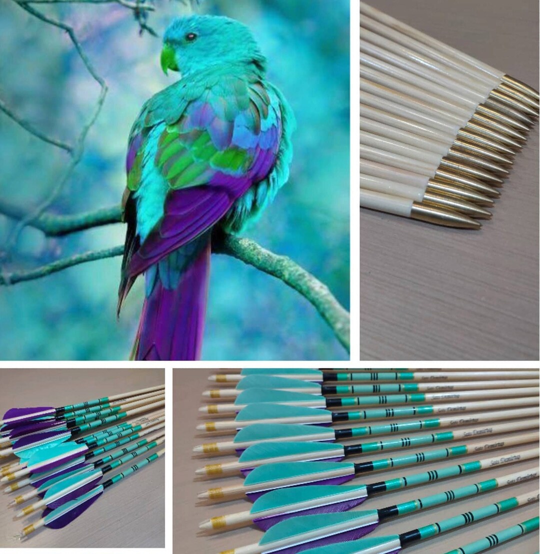 Wooden Archery Arrow Recurve Bow Longbow Hunting Ottoman Water Green ...