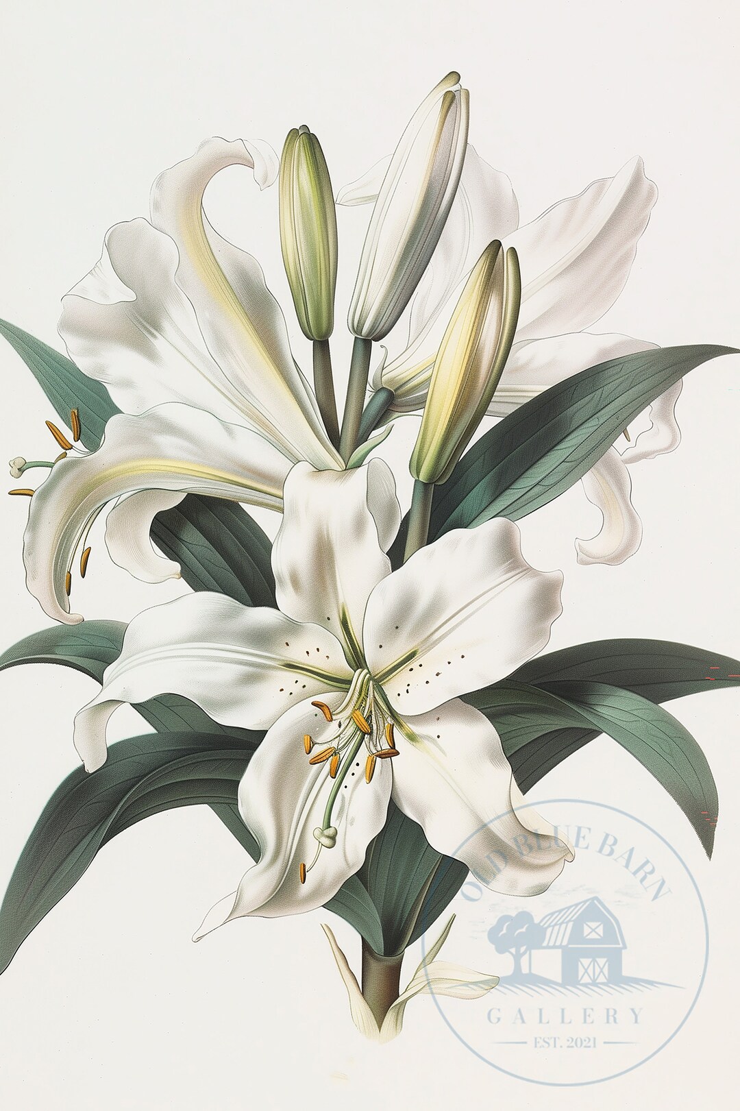 White Lilies Print, Floral Print, Flower Wall Art, Floral Decor, Lilies ...