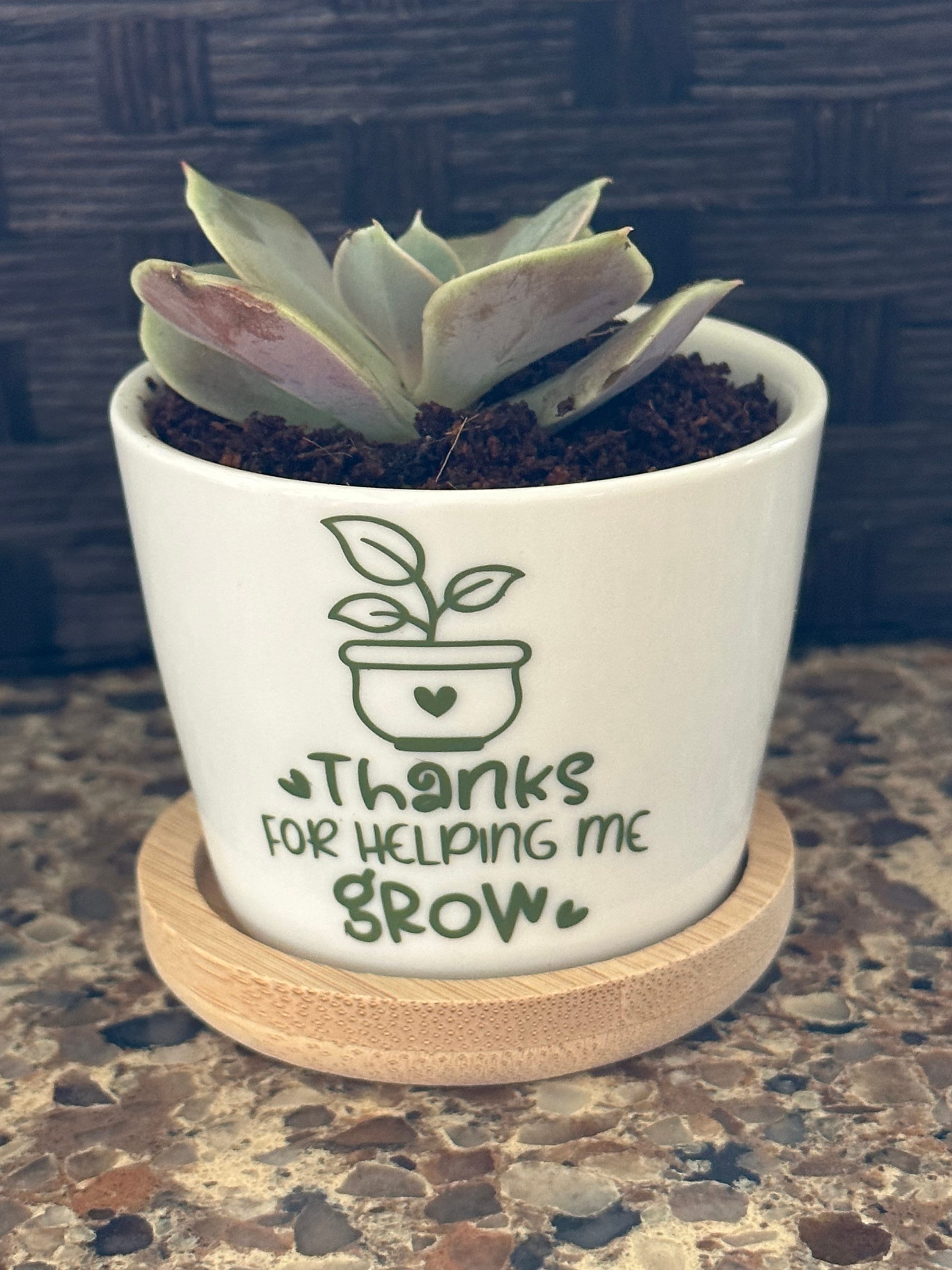 Teacher Appreciation Mini Succulent Flower Pot - Etsy