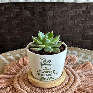 Teacher Appreciation Mini Succulent Flower Pot - Etsy