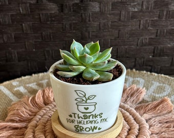 Personalized Teachers Plant the Seeds Ceramic Plant Pot Mini Planter ...