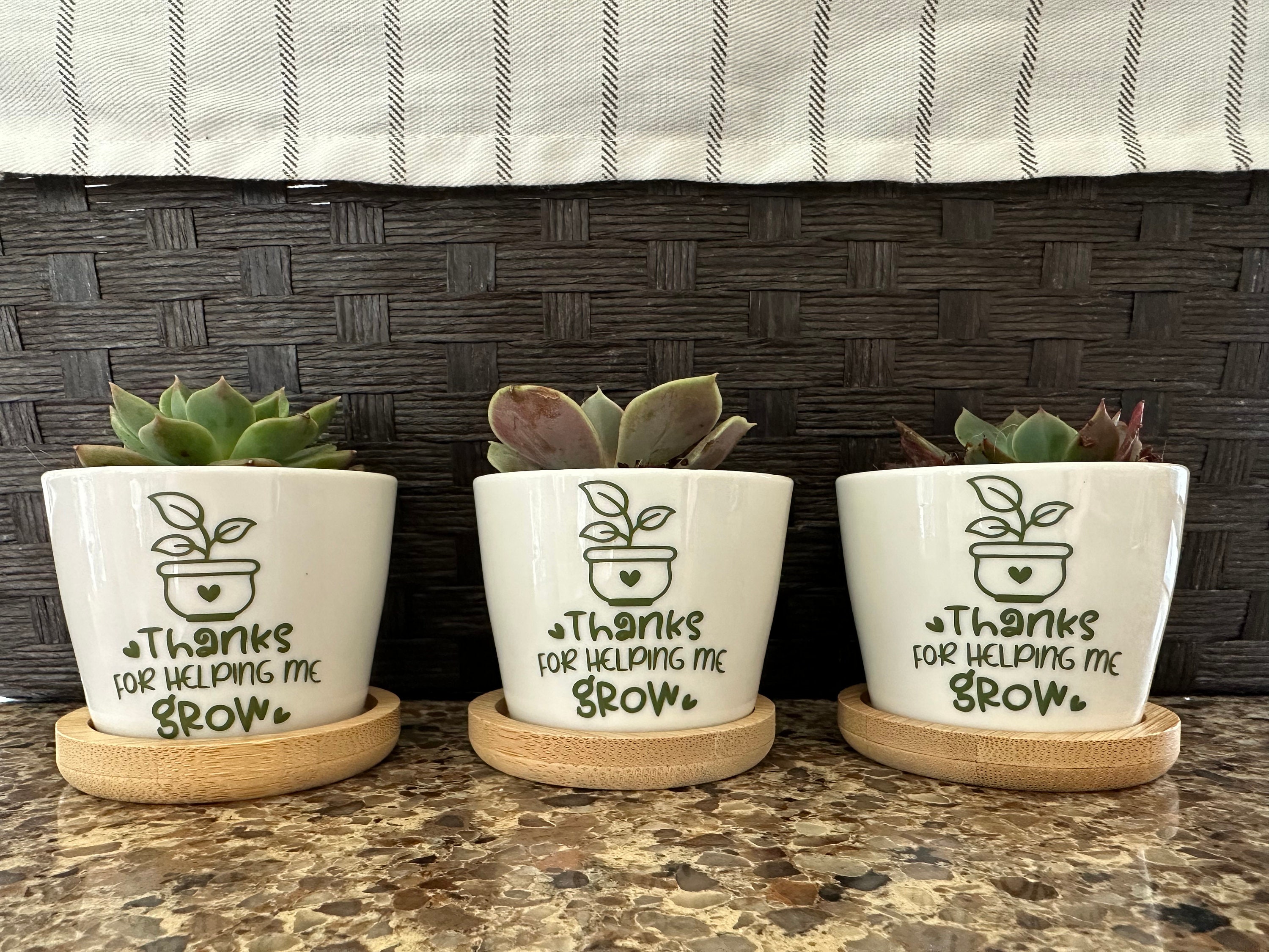 Teacher Appreciation Mini Succulent Flower Pot - Etsy