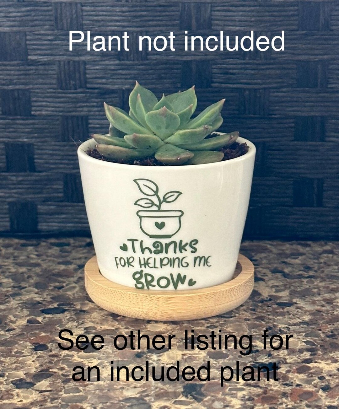 Teacher Appreciation Mini Succulent Flower Pot (plant Not Included) See ...