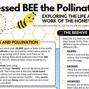 Bees Spring Printable Activity Worksheet | 2 Pages PDF or PNG - Etsy